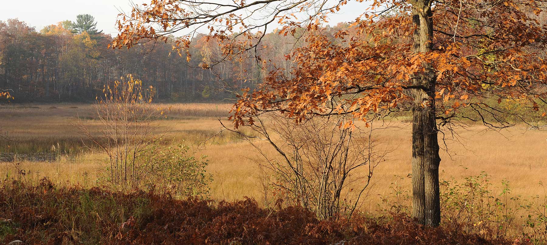 Fall - Crivitz Recreation